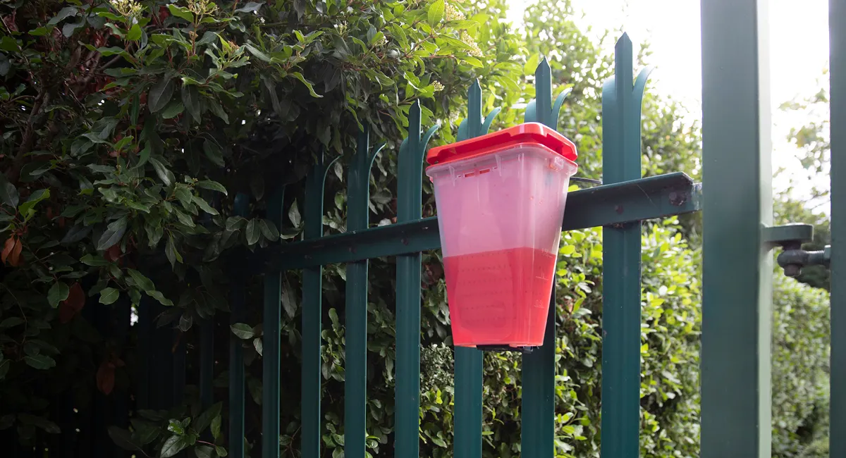 Outdoor Fly Control For Businesses